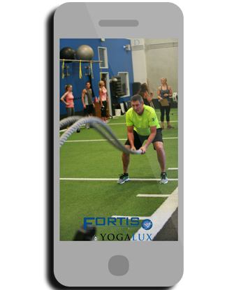 mobile - Fortis & YOGALUX